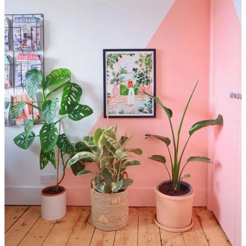 Benjamin Moore Ocean Air vs. Benjamin Moore Phoenix Sand comparison