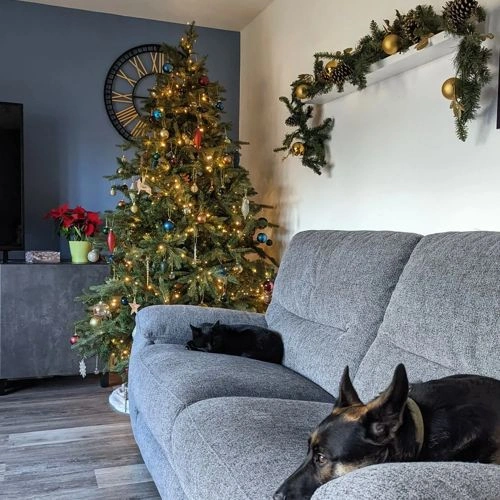 Dulux Intense Azure vs. Dulux Vast Lake comparison