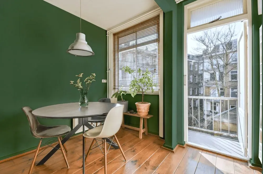 Behr Greener Pastures S410-6: 30 real pictures