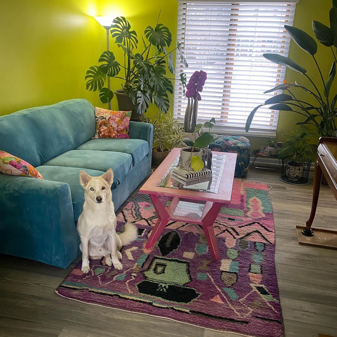 Sherwin Williams SW 6703 Frolic paint color review