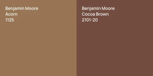Benjamin Moore Acorn vs. Benjamin Moore Saddle Brown comparison