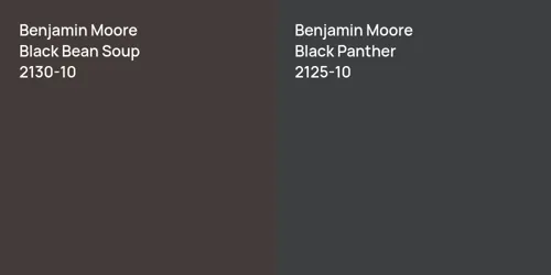 Benjamin Moore Black Bean Soup vs. Benjamin Moore Black Beauty comparison
