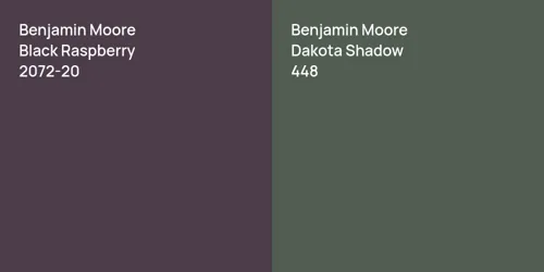 Compare Benjamin Moore Black Raspberry with other colors