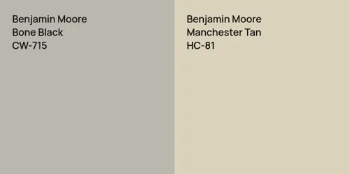 Benjamin Moore Bone Black vs. Benjamin Moore Classic Gray comparison