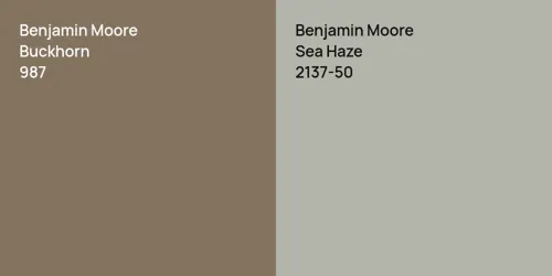 Benjamin Moore Buckhorn vs. Benjamin Moore Deer Trail comparison