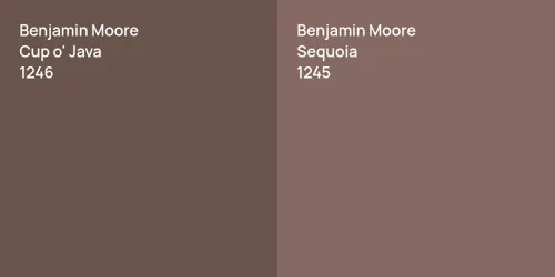 Benjamin Moore Cup o' Java vs. Benjamin Moore Barista comparison
