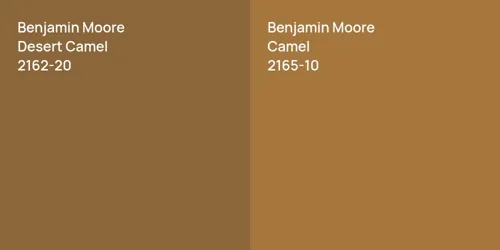 Benjamin Moore Desert Camel vs. Benjamin Moore Tawny comparison