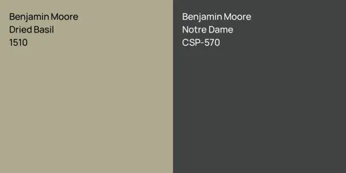 Benjamin Moore Dried Basil vs. Benjamin Moore Dried Parsley comparison