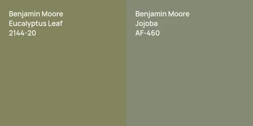 Benjamin Moore Eucalyptus Leaf vs. Benjamin Moore Oak Grove comparison