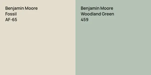 Compare Benjamin Moore Fossil with other colors