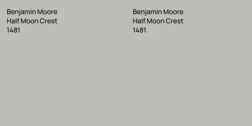 Benjamin Moore Half Moon Crest vs. Benjamin Moore Silver Fox comparison