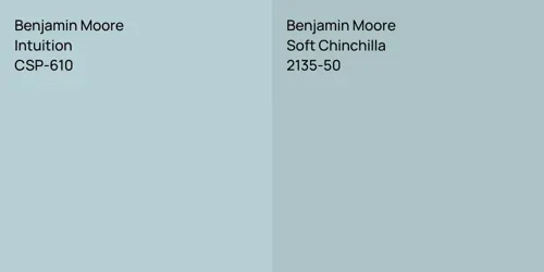 Benjamin Moore Intuition vs. Benjamin Moore Blue Echo comparison