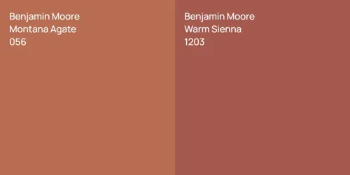 Benjamin Moore Montana Agate vs. Benjamin Moore Terra Mauve comparison