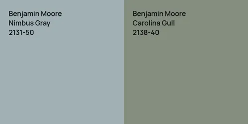 Benjamin Moore Nimbus Gray vs. Benjamin Moore Lead Gray comparison