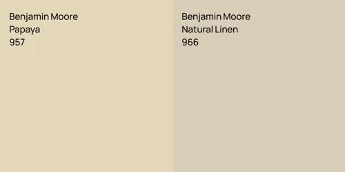 Benjamin Moore Papaya vs. Benjamin Moore Gray Mist comparison