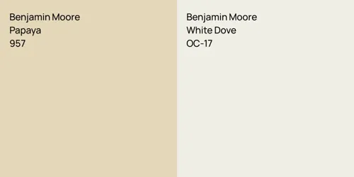 Benjamin Moore Papaya vs. Benjamin Moore Gray Mist comparison