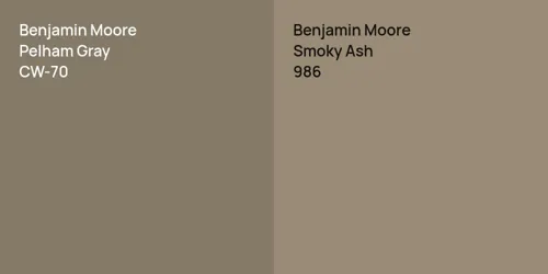 Benjamin Moore Pelham Gray vs. Benjamin Moore Tyler Gray comparison