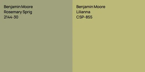 Benjamin Moore Rosemary Sprig vs. Benjamin Moore Onyx comparison