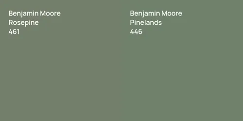 Compare Benjamin Moore Rosepine with other colors