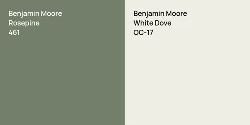Compare Benjamin Moore Rosepine with other colors