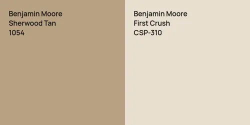 Benjamin Moore Sherwood Tan vs. Benjamin Moore Porter Ridge Tan comparison