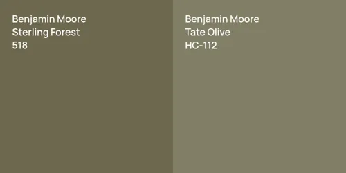 Benjamin Moore Sterling Forest vs. Benjamin Moore Sterling Forest comparison