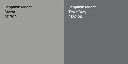 Benjamin Moore Storm vs. Benjamin Moore Cinder comparison