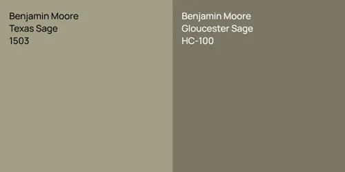 Benjamin Moore Texas Sage vs. Benjamin Moore Avant Garde comparison