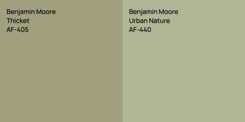 Benjamin Moore Thicket vs. Benjamin Moore Brandon Beige comparison