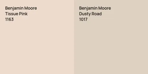 Benjamin Moore Tissue Pink vs. Benjamin Moore Lambskin comparison