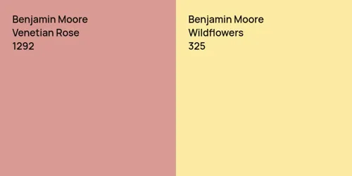 Benjamin Moore Venetian Rose vs. Benjamin Moore Monticello Rose comparison