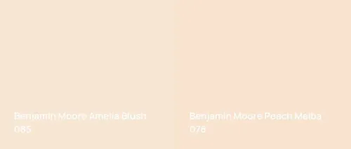 Benjamin Moore Amelia Blush vs. Benjamin Moore Cinnamon Slate comparison