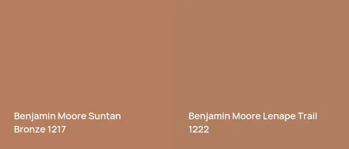 Benjamin Moore Suntan Bronze vs. Benjamin Moore Patina comparison