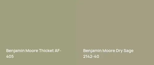 Benjamin Moore Thicket vs. Benjamin Moore Pistachio Ice Cream comparison