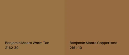 Benjamin Moore Warm Tan vs. Benjamin Moore Autumn Brown comparison