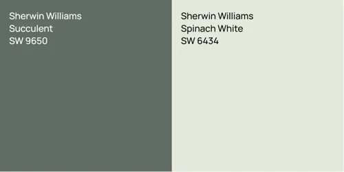 Sherwin Williams Succulent vs. Sherwin Williams Succulent comparison