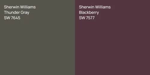 Compare Sherwin Williams Thunder Gray with other colors
