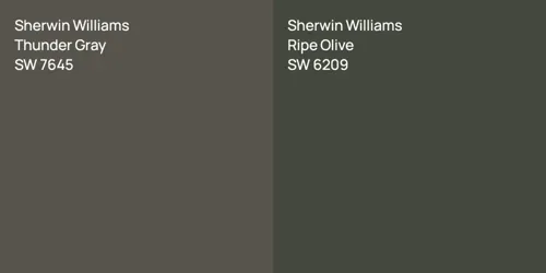 Compare Sherwin Williams Thunder Gray with other colors