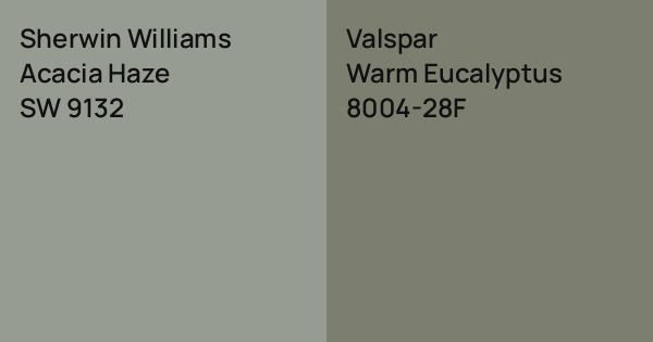Sherwin Williams Acacia Haze vs. Valspar Warm Eucalyptus comparison