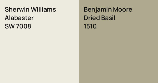 Sherwin Williams Alabaster vs. Benjamin Moore Dried Basil comparison