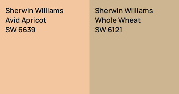 Sherwin Williams Avid Apricot vs. Sherwin Williams Whole Wheat comparison
