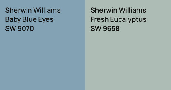 Sherwin Williams Baby Blue Eyes vs. Sherwin Williams Fresh Eucalyptus ...