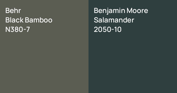 Behr Black Bamboo vs. Benjamin Moore Salamander comparison