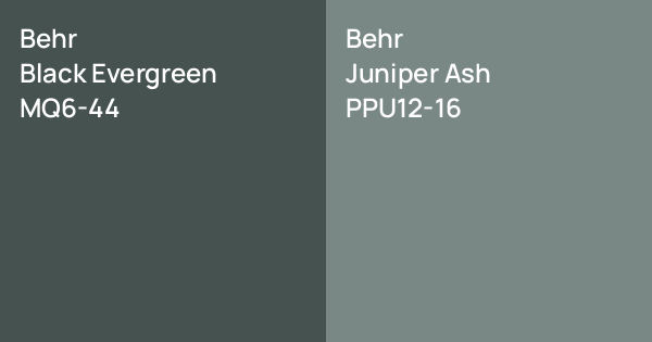 Behr Black Evergreen vs. Behr Juniper Ash comparison