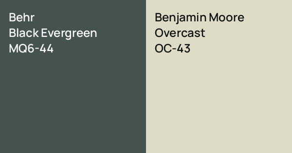 Behr Black Evergreen vs. Benjamin Moore Overcast comparison
