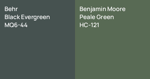 Behr Black Evergreen vs. Benjamin Moore Peale Green comparison