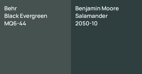 Behr Black Evergreen vs. Benjamin Moore Salamander comparison