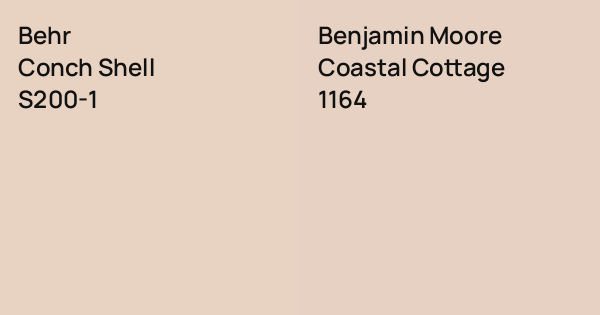 Behr Conch Shell vs. Benjamin Moore Coastal Cottage comparison
