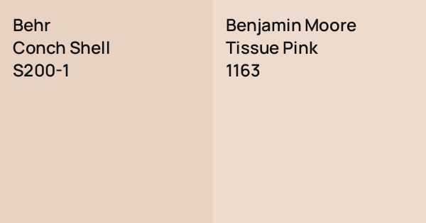 Behr Conch Shell vs. Benjamin Moore Tissue Pink comparison