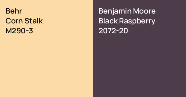 Behr Corn Stalk vs. Benjamin Moore Black Raspberry comparison